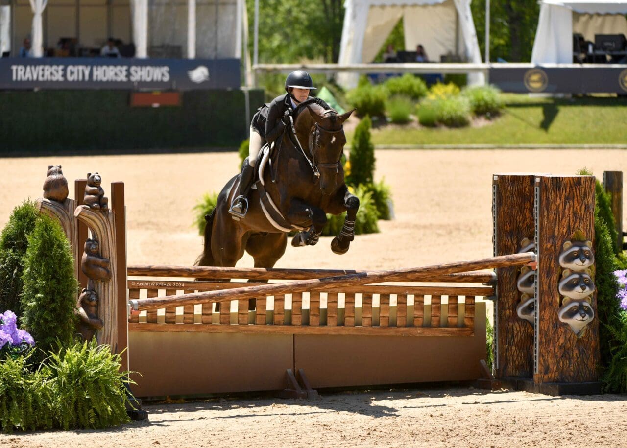 What is Equitation: Medals, Big Eq, and Tests - Horse Show Imports