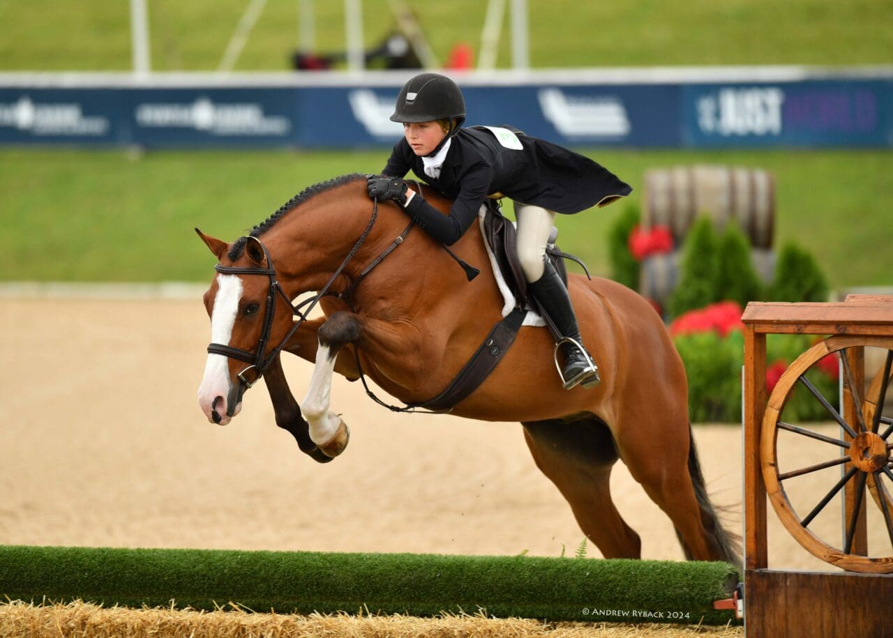 What is Equitation: Medals, Big Eq, and Tests - Horse Show Imports