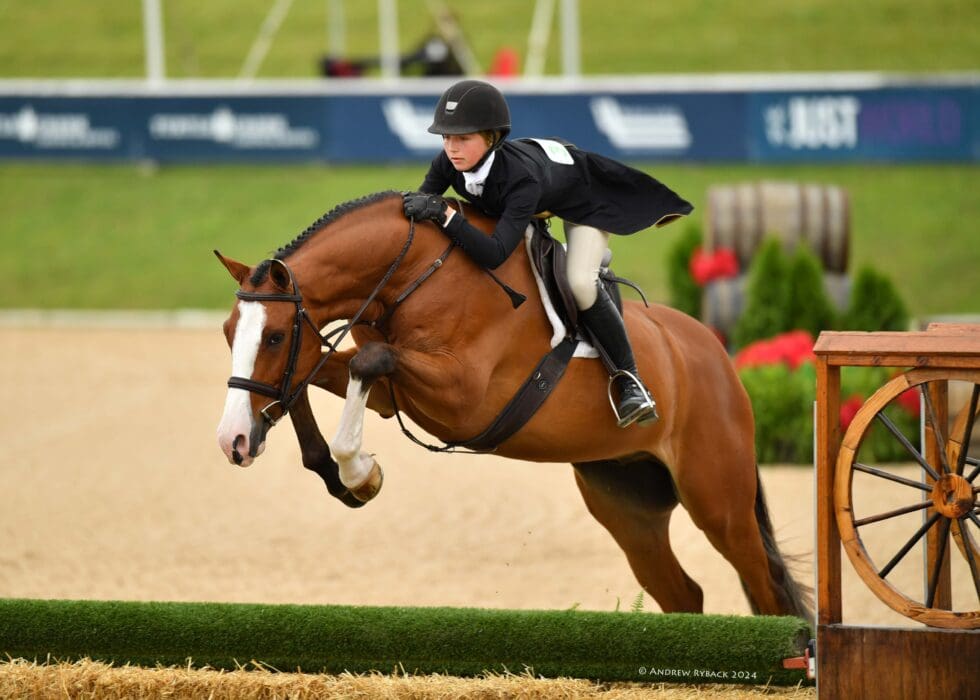 What is Equitation: Medals, Big Eq, and Tests - Horse Show Imports